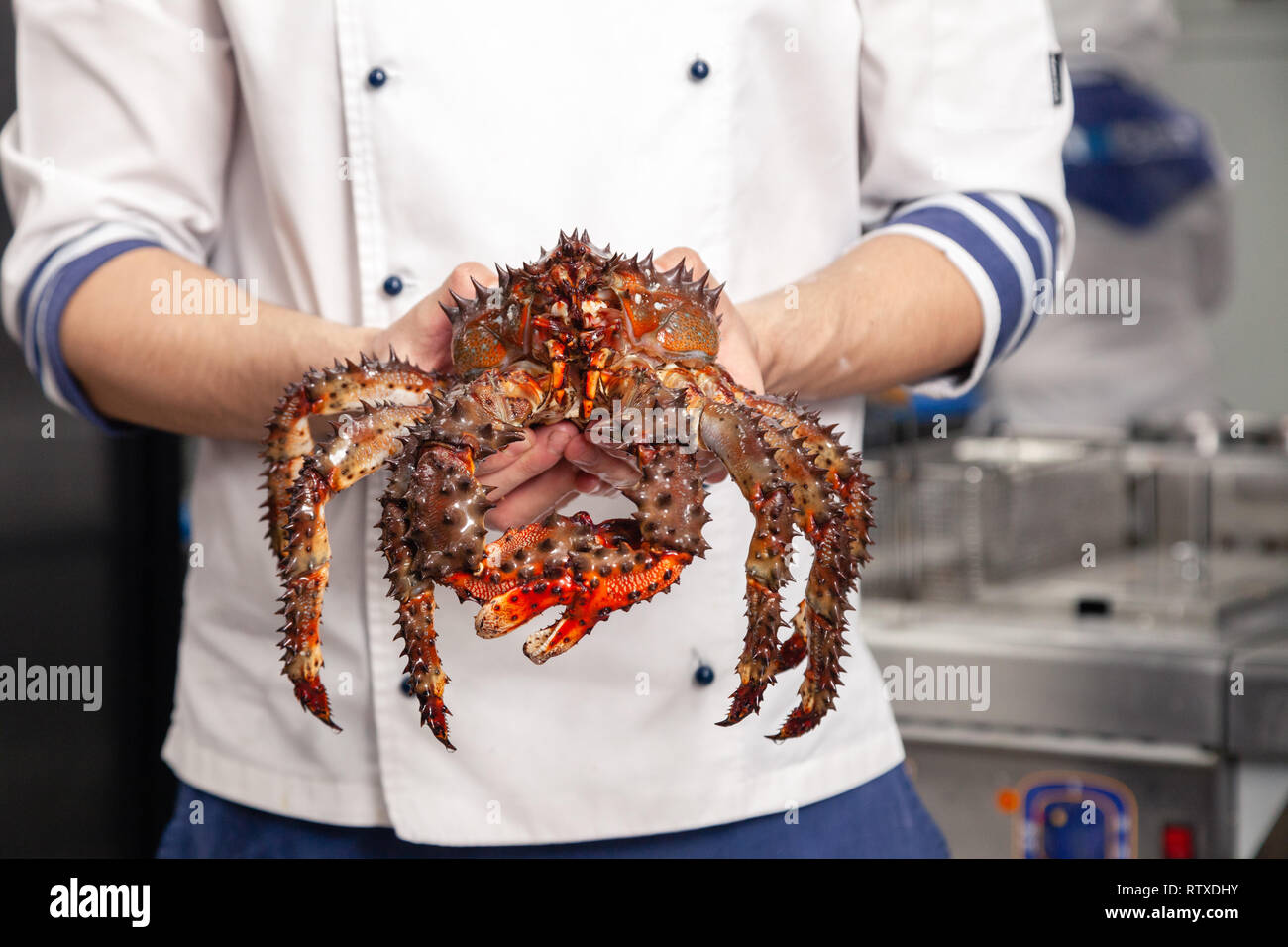 Chef of premium michelin restaurant in white uniform is holding fresh ...