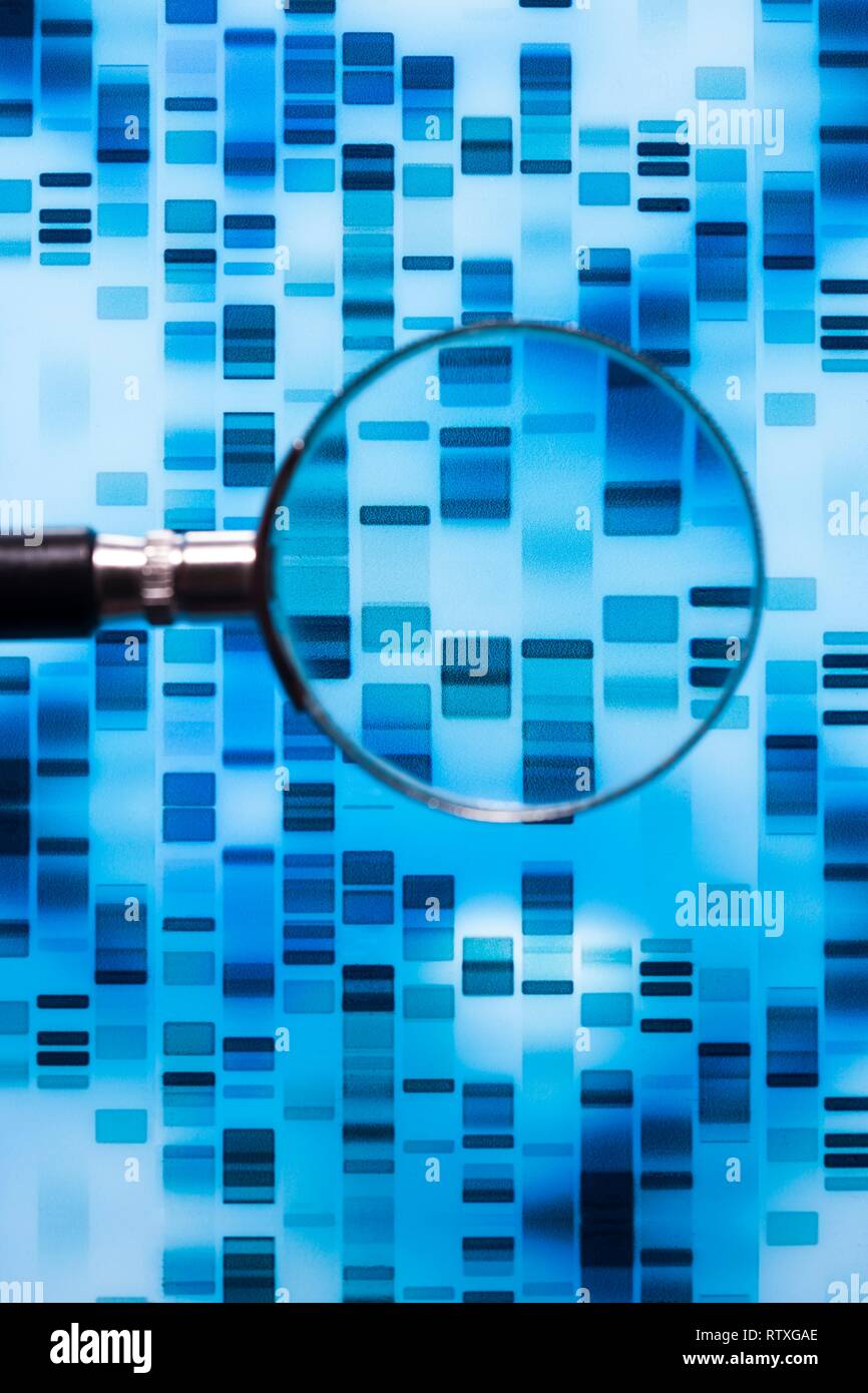 DNA sequence and magnifying glass Stock Photo - Alamy
