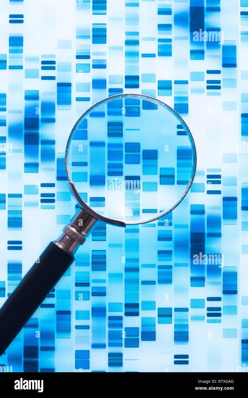DNA sequence and magnifying glass Stock Photo - Alamy