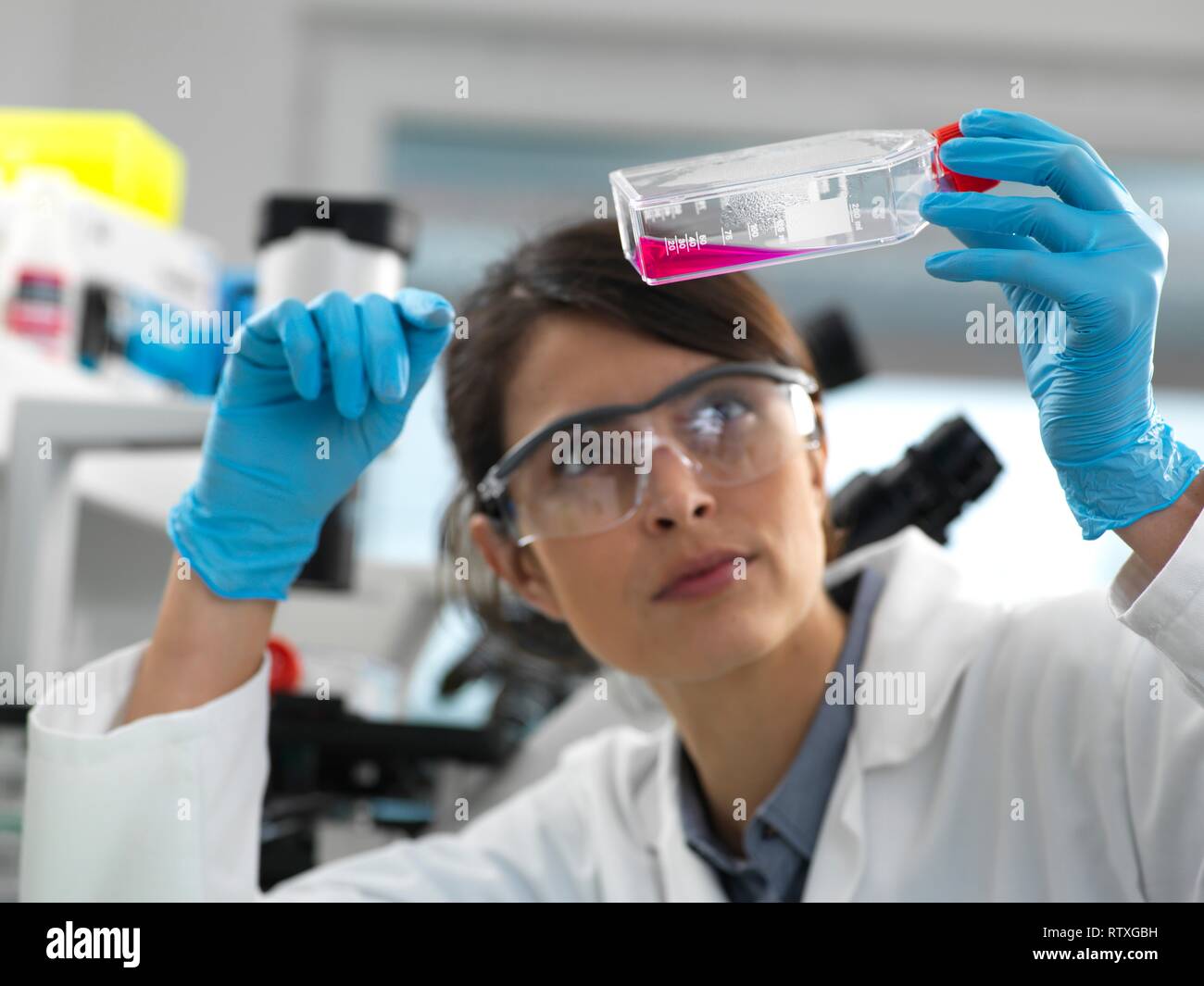 Female cell biologist examining a flask containing stem cells ...