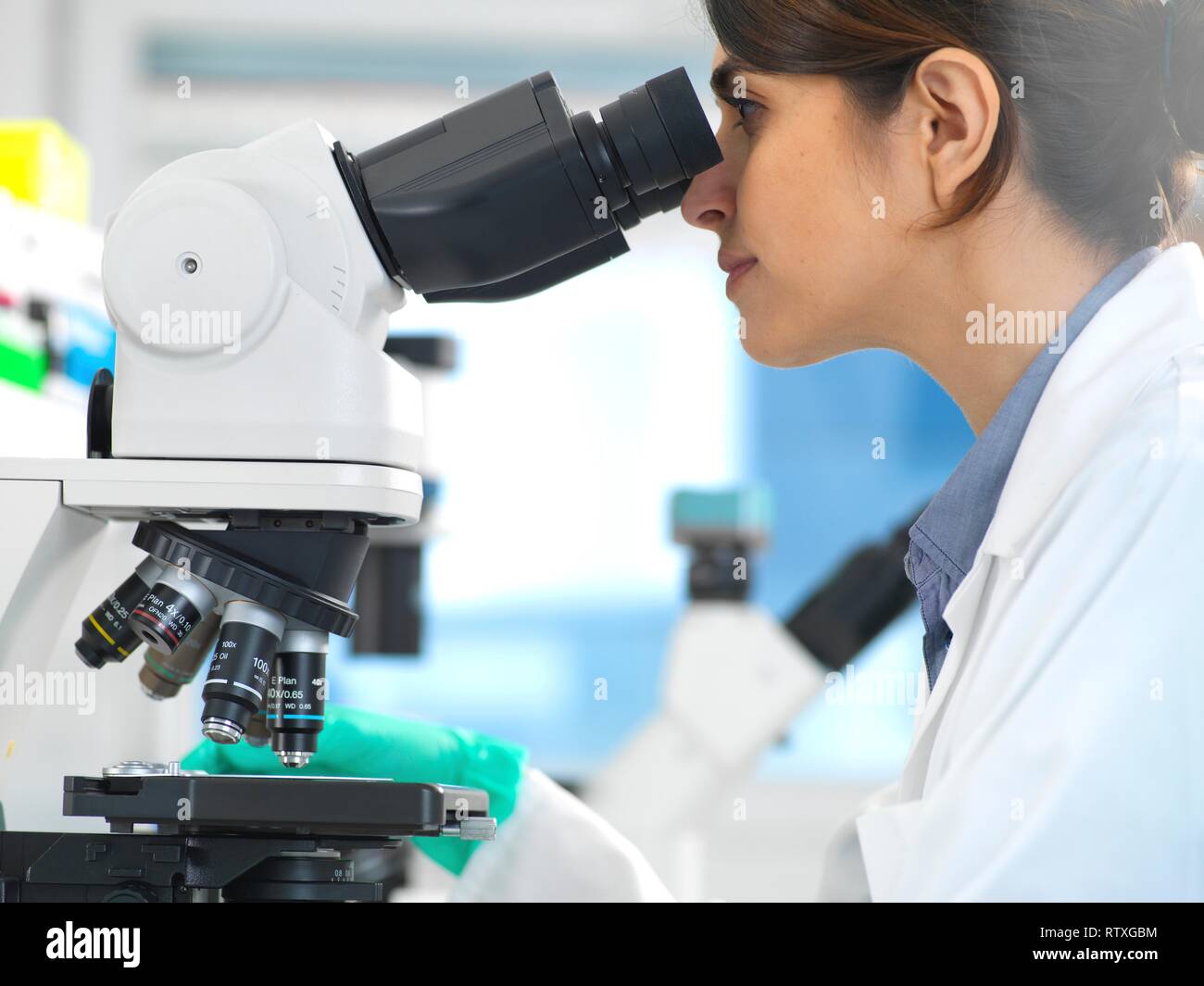 Scientists viewing a medical sample on a glass slide under a microscope ...