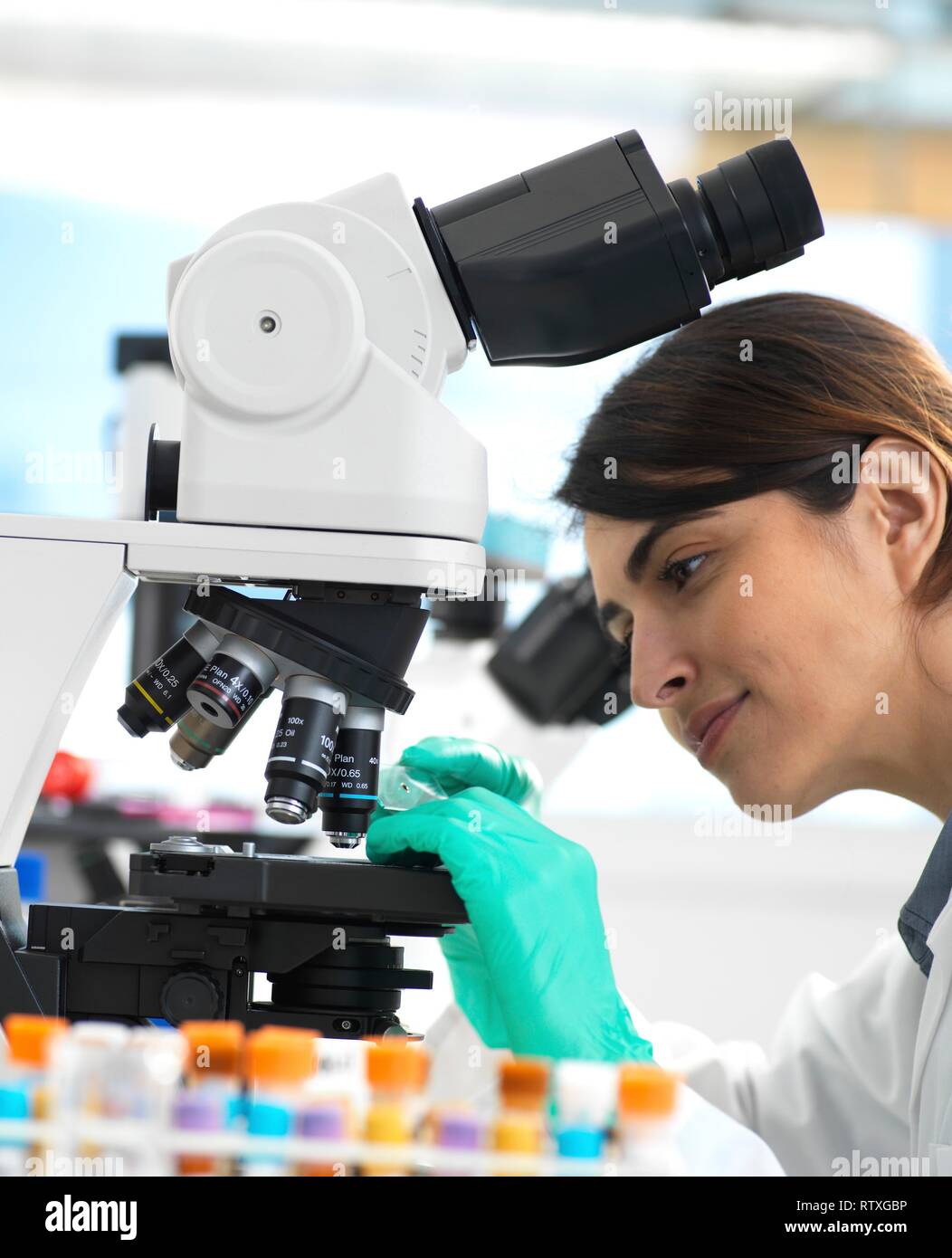 Scientists viewing a medical sample on a glass slide under a microscope ...