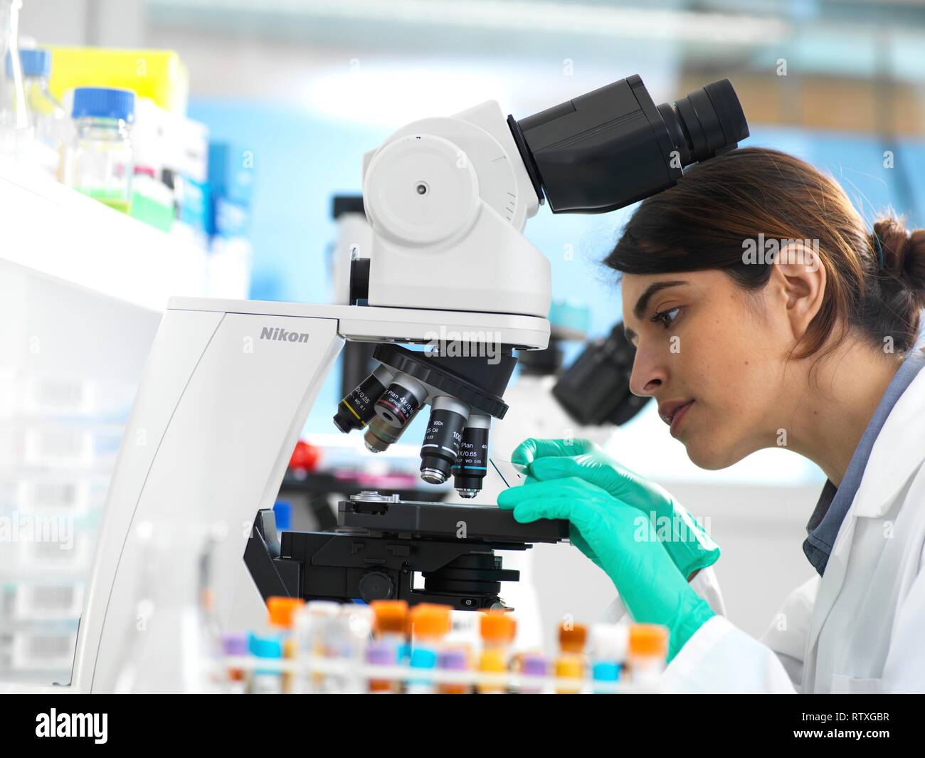 Microscope slide specimens hi-res stock photography and images - Alamy