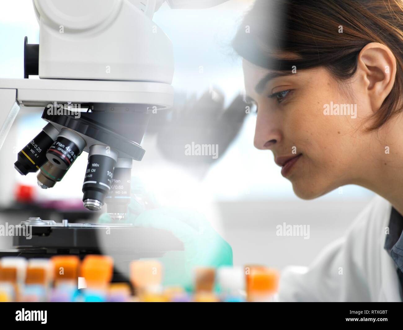 Scientists viewing a medical sample on a glass slide under a microscope ...