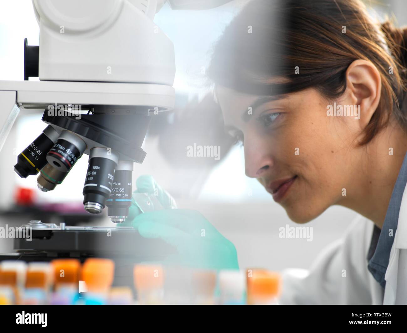 Scientists viewing a medical sample on a glass slide under a microscope ...