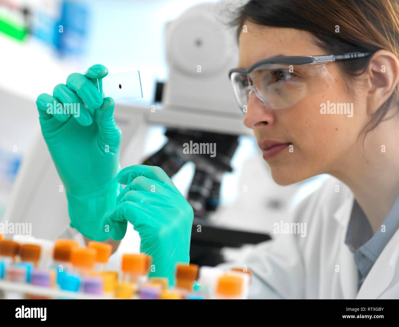 Scientists viewing a medical sample on a glass slide under a microscope ...