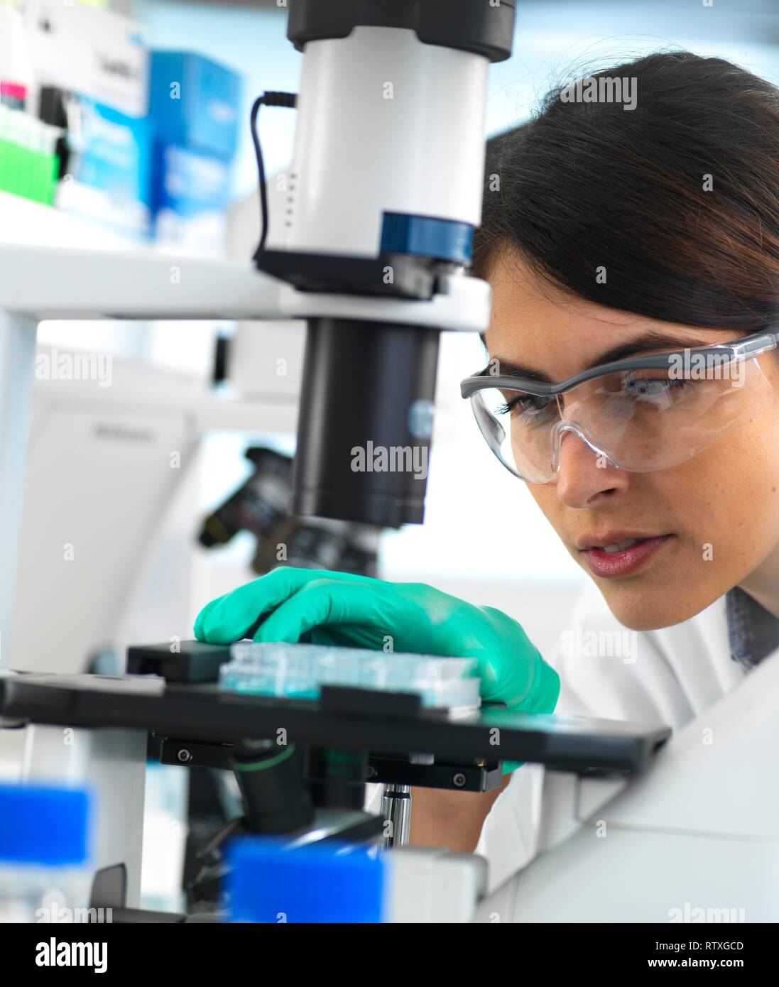 Trial plate hi-res stock photography and images - Alamy