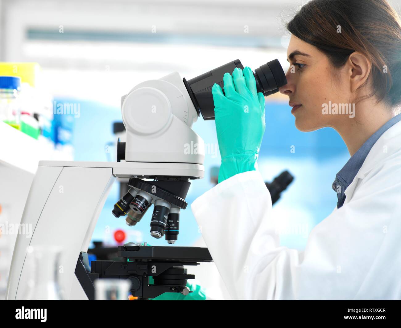 Scientist examining specimens under a microscope during a clinical ...