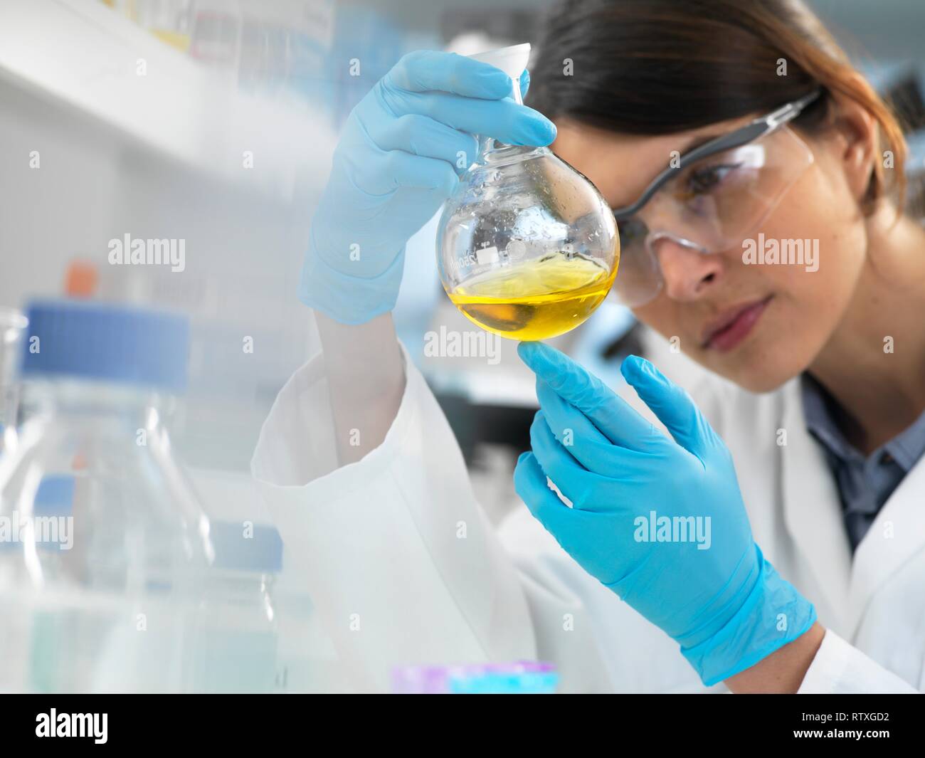 Scientist examining a solution in a laboratory flask during an ...