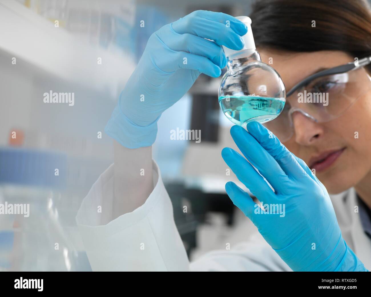 Scientist examining a solution in a laboratory flask during an ...