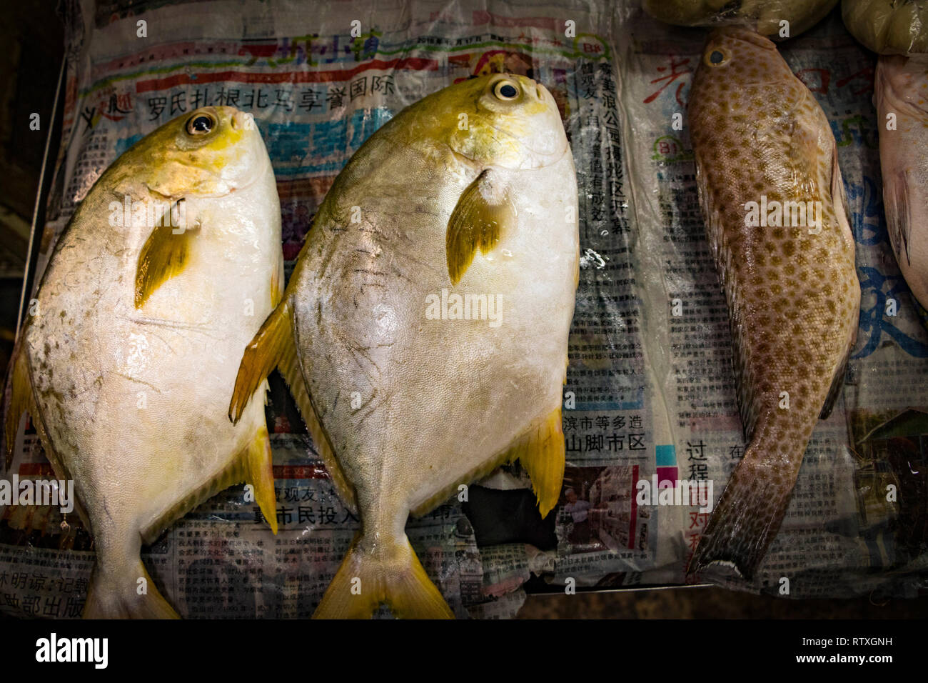 wet fish on market stall in Chinatown Kuala Lumpur, Malaysia Stock ...