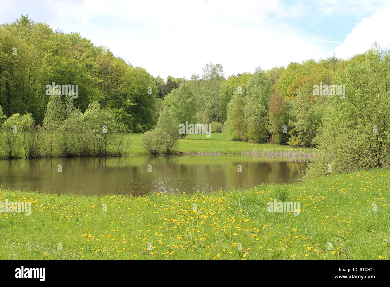 lake in the Steigerwald Stock Photo - Alamy
