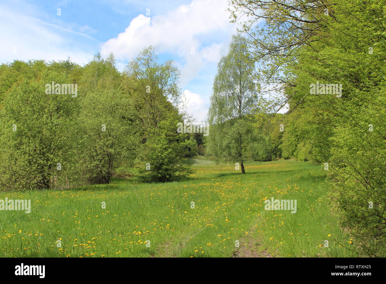 lake in the Steigerwald Stock Photo - Alamy