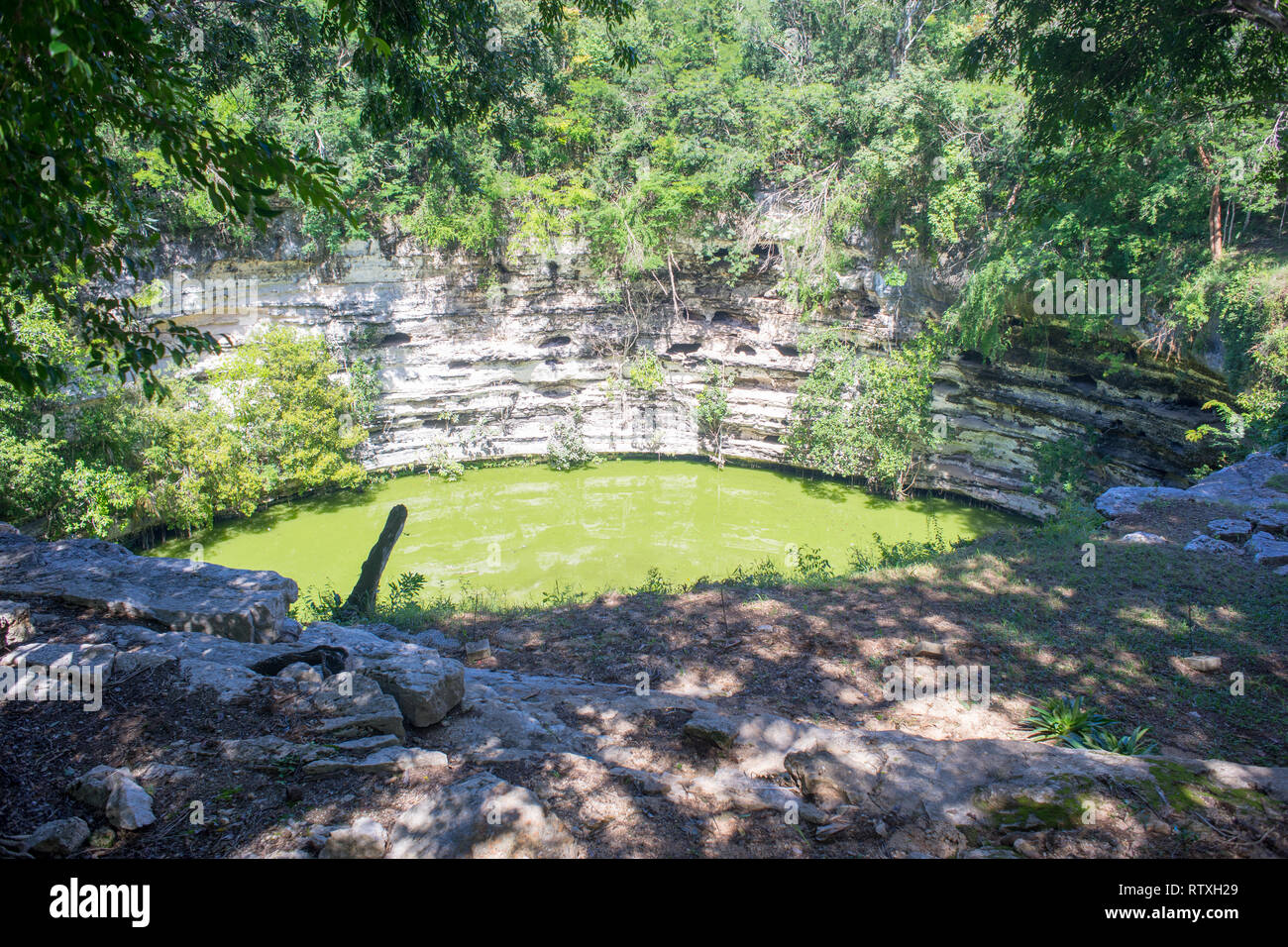 Cenote X'toloc, Chichén-Itzá, Yucatán, Messico Stock Photo - Alamy