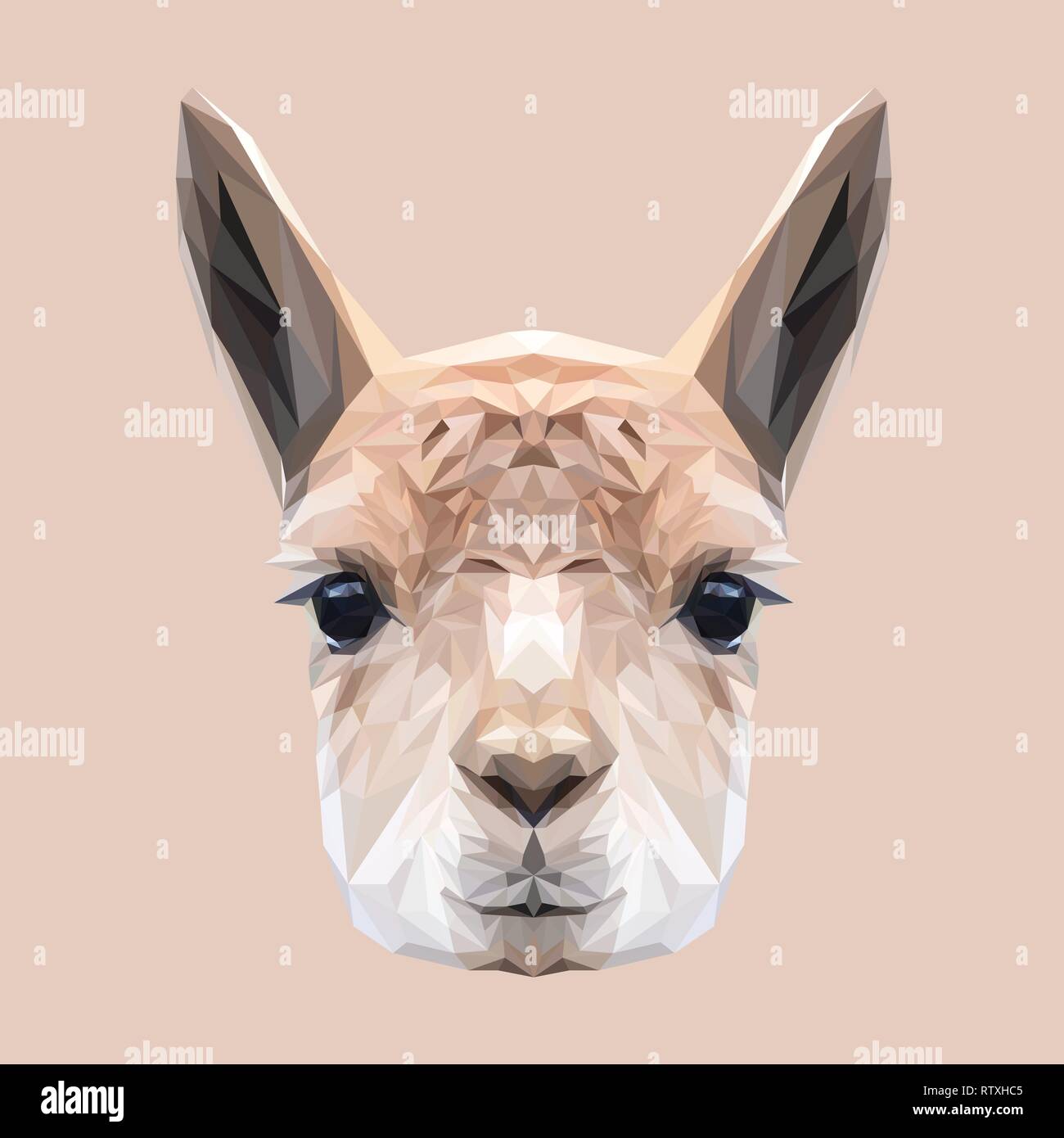 Llama low poly design. Triangle vector illustration Stock Vector Image ...