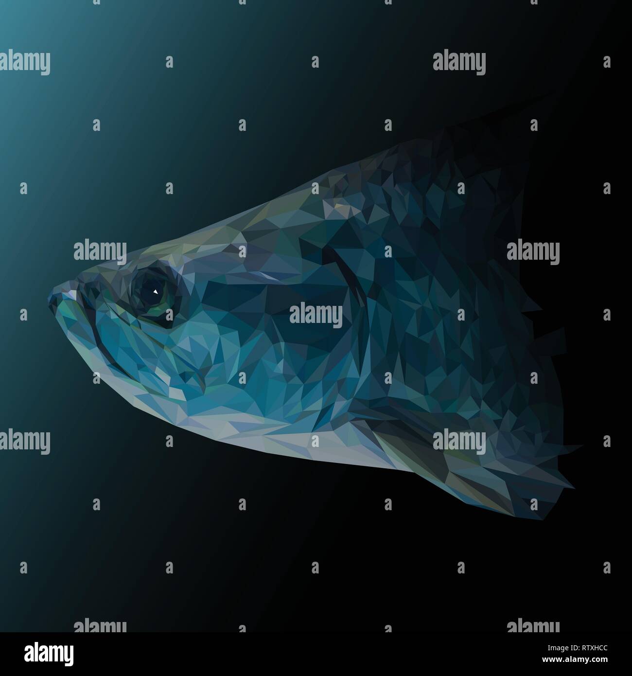 Blue fish animal low poly design. Triangle vector illustration Stock ...