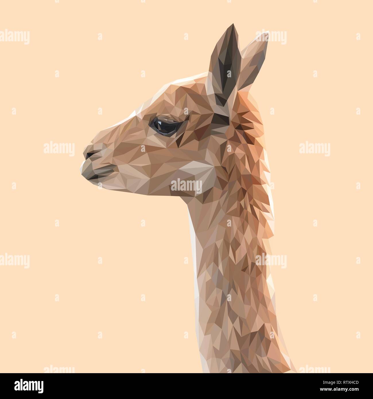 Llama low poly design. Triangle vector illustration Stock Vector Image ...