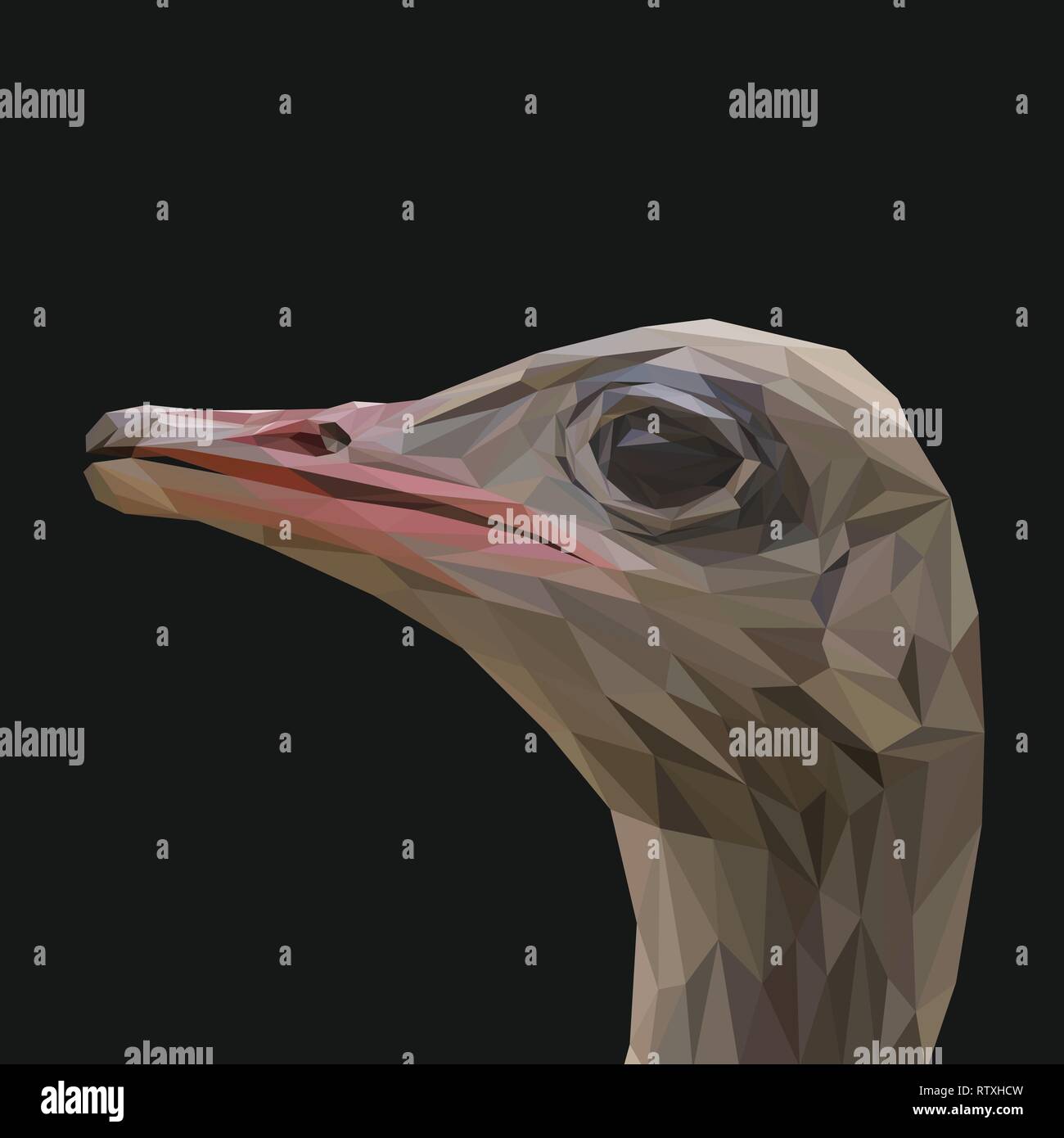 Ostrich low poly design. Triangle vector illustration Stock Vector ...