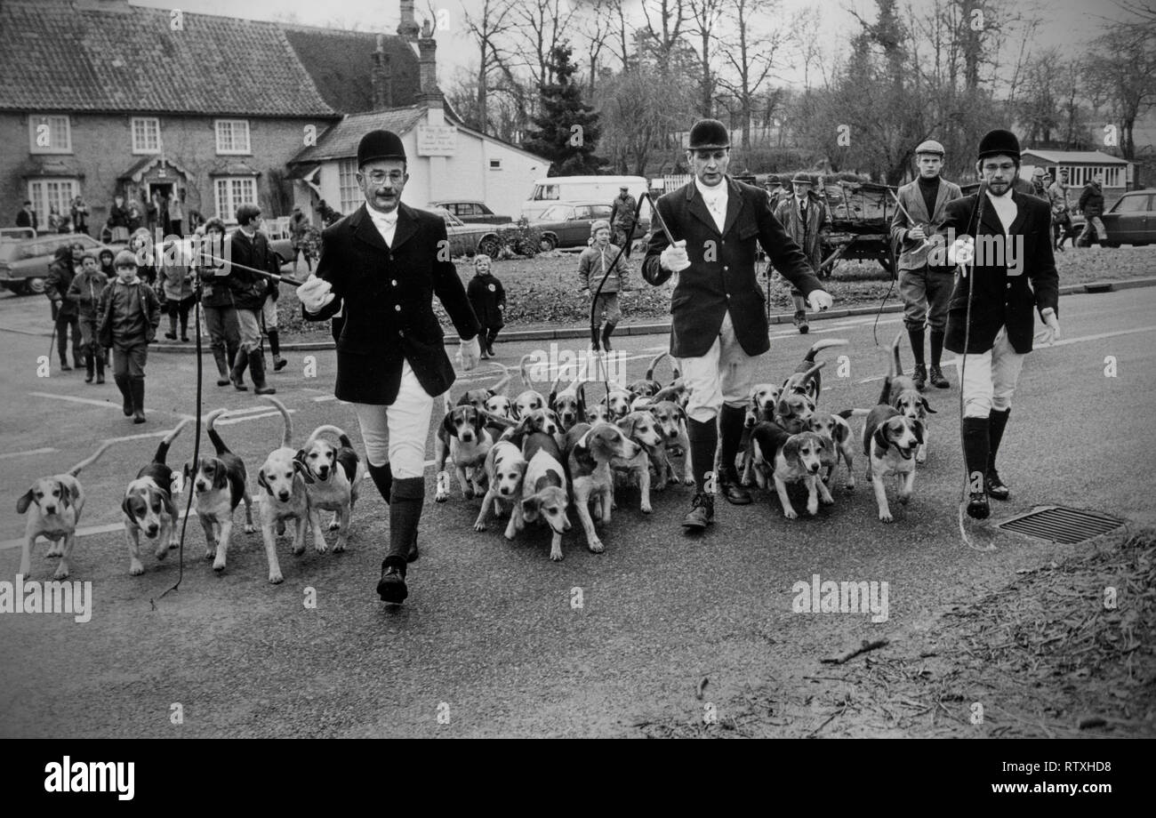 Hunting the Fox with Hounds Suffolk England UK 1984 Traditional Boxing ...