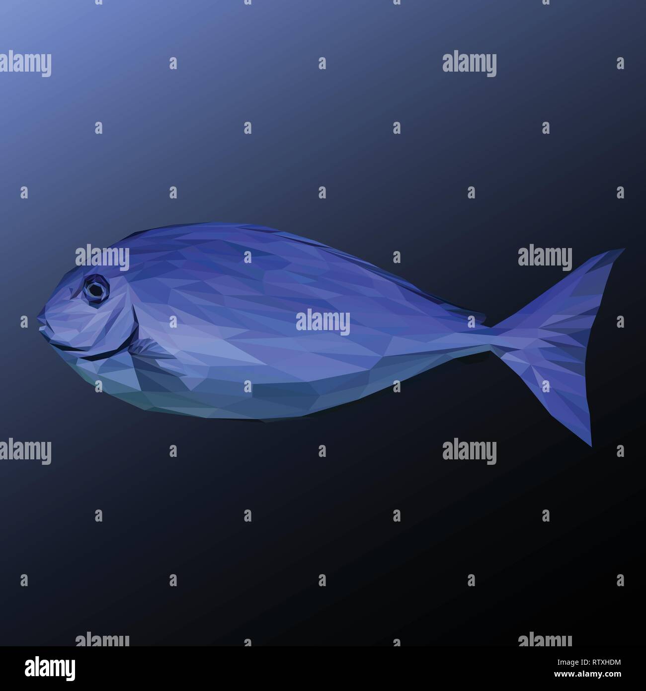 Blue fish animal low poly design. Triangle vector illustration Stock ...