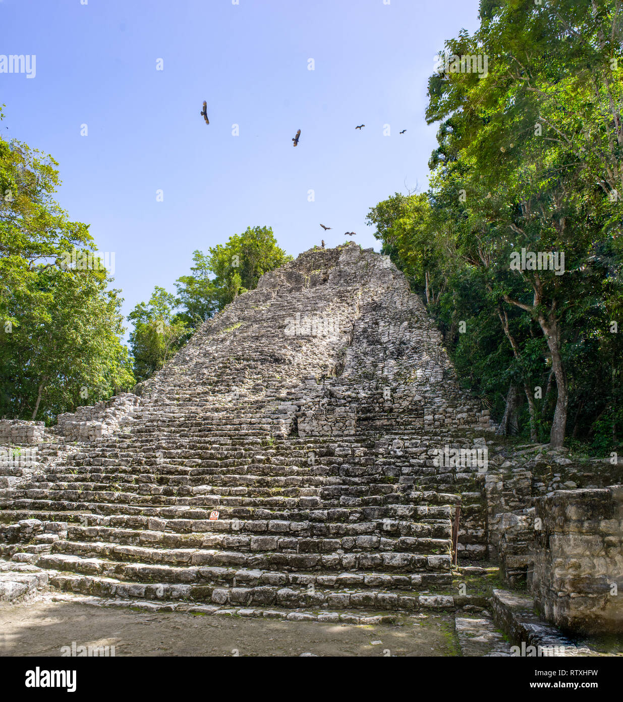 Pyramid in the middle of the Jungle in Coba, Mexico Stock Photo - Alamy