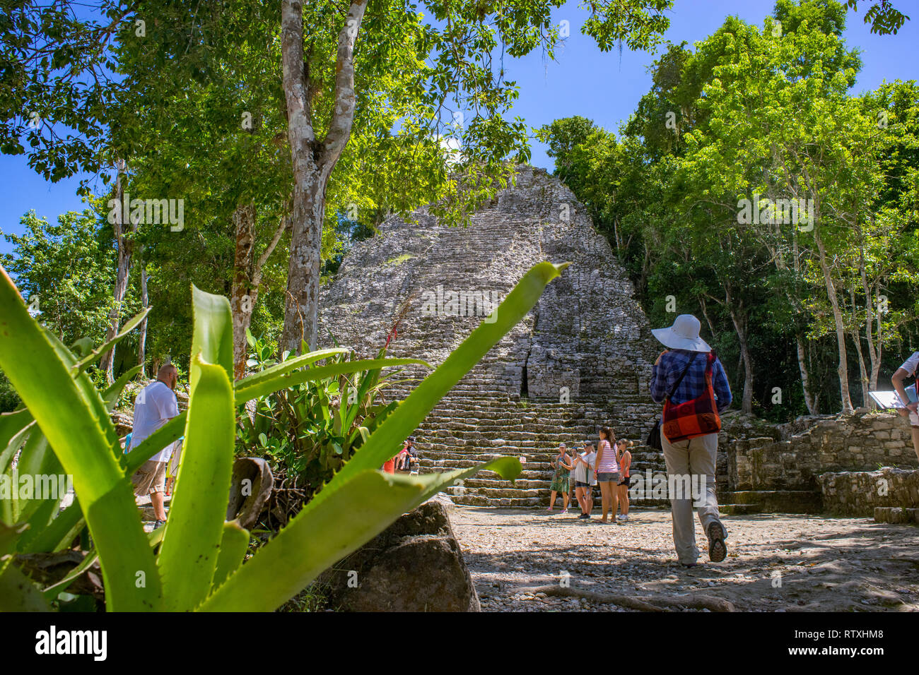 Pyramid in the middle of the Jungle in Coba, Mexico Stock Photo - Alamy