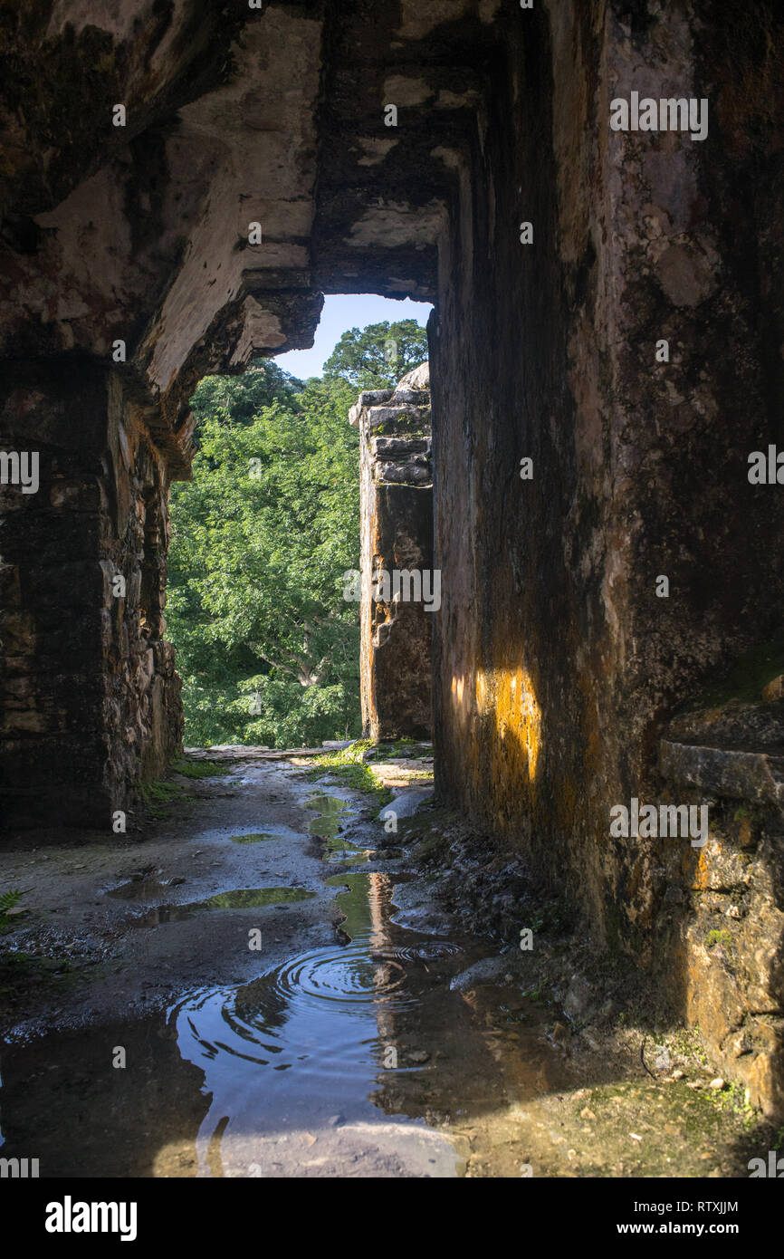 Palenque palace hi-res stock photography and images - Alamy