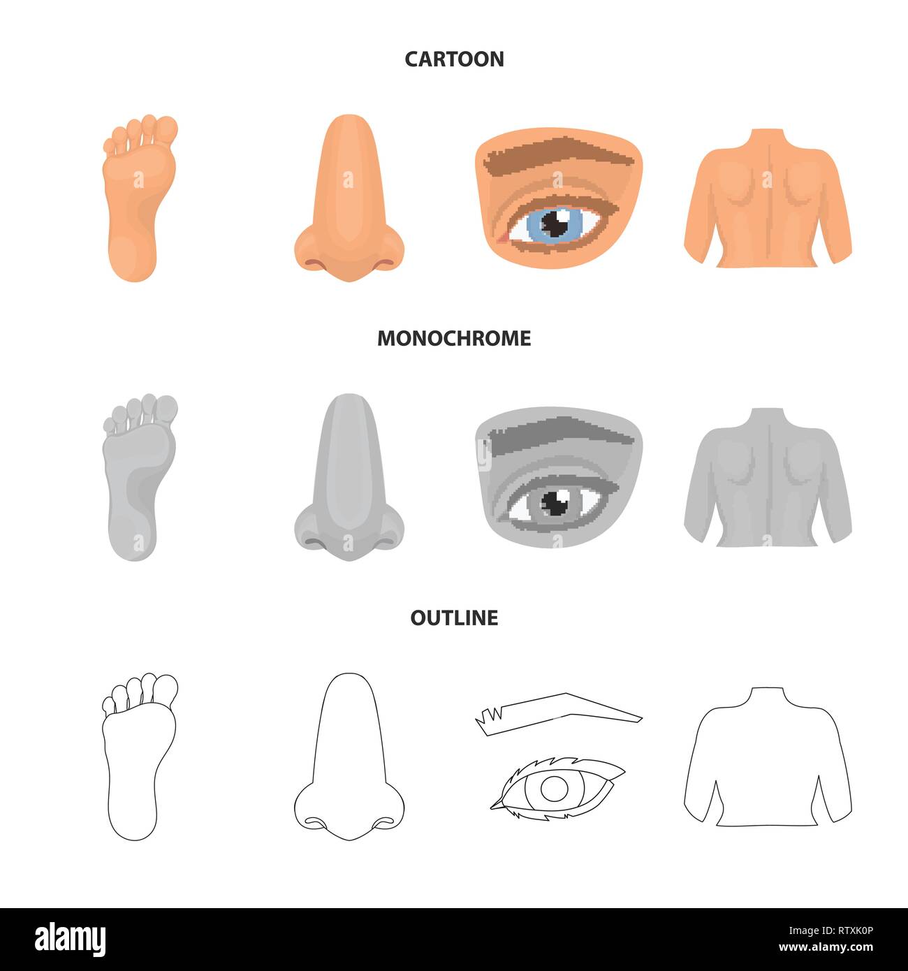Vector illustration of body and part sign. Collection of body and ...