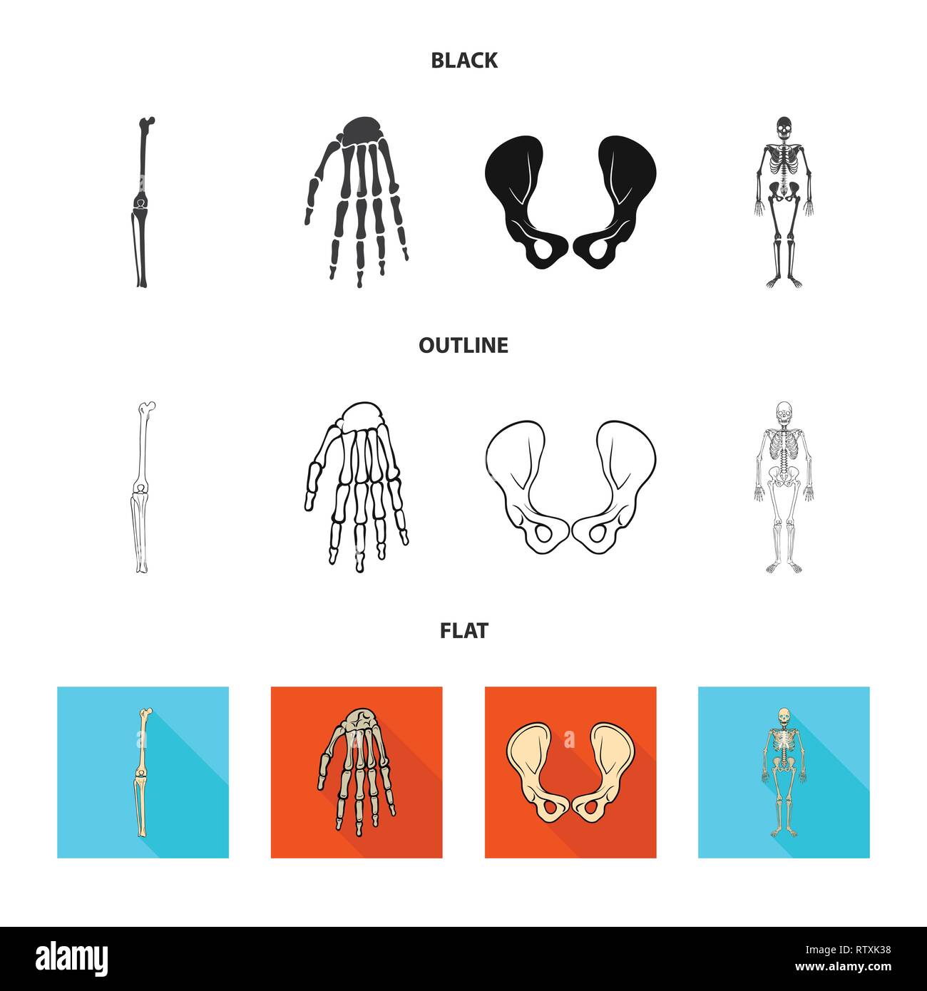 knee,wrist,hip,musculoskeletal,joint,hand,scientific,meniscus,calcium ...