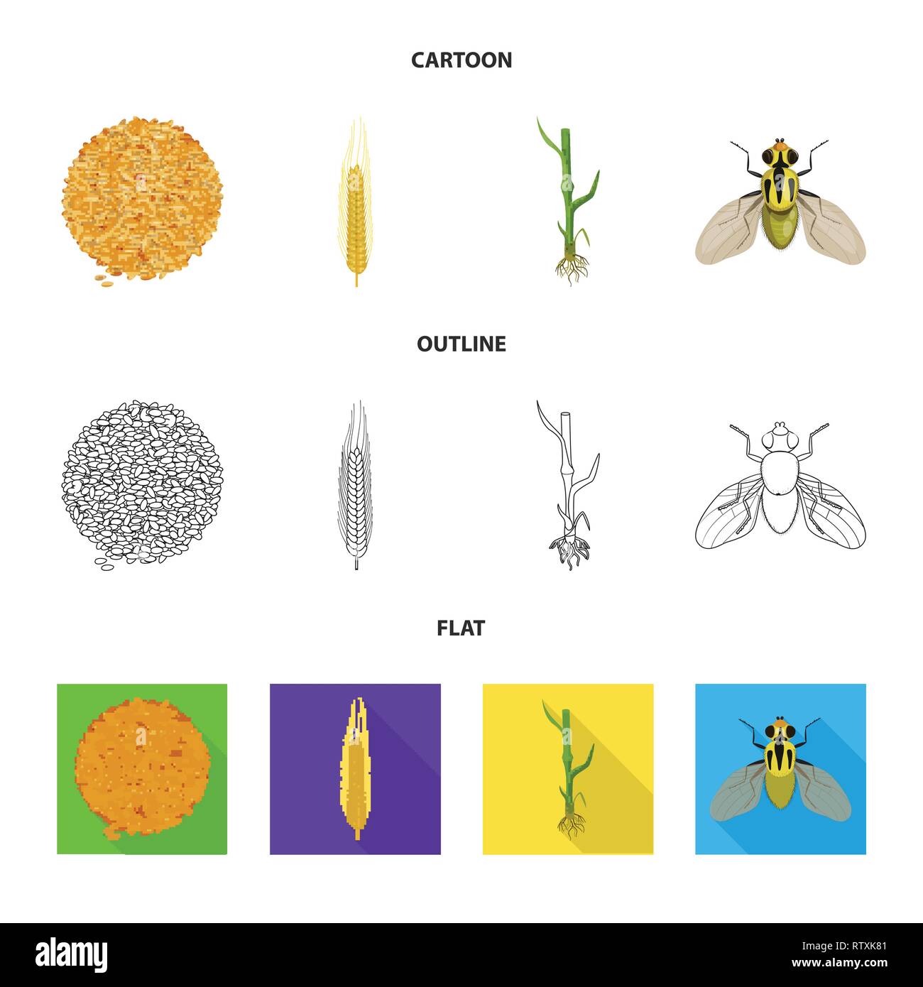 stem,fly,seeds,winter,root,insect,crop,spring,pest,bread,spike,soil ...