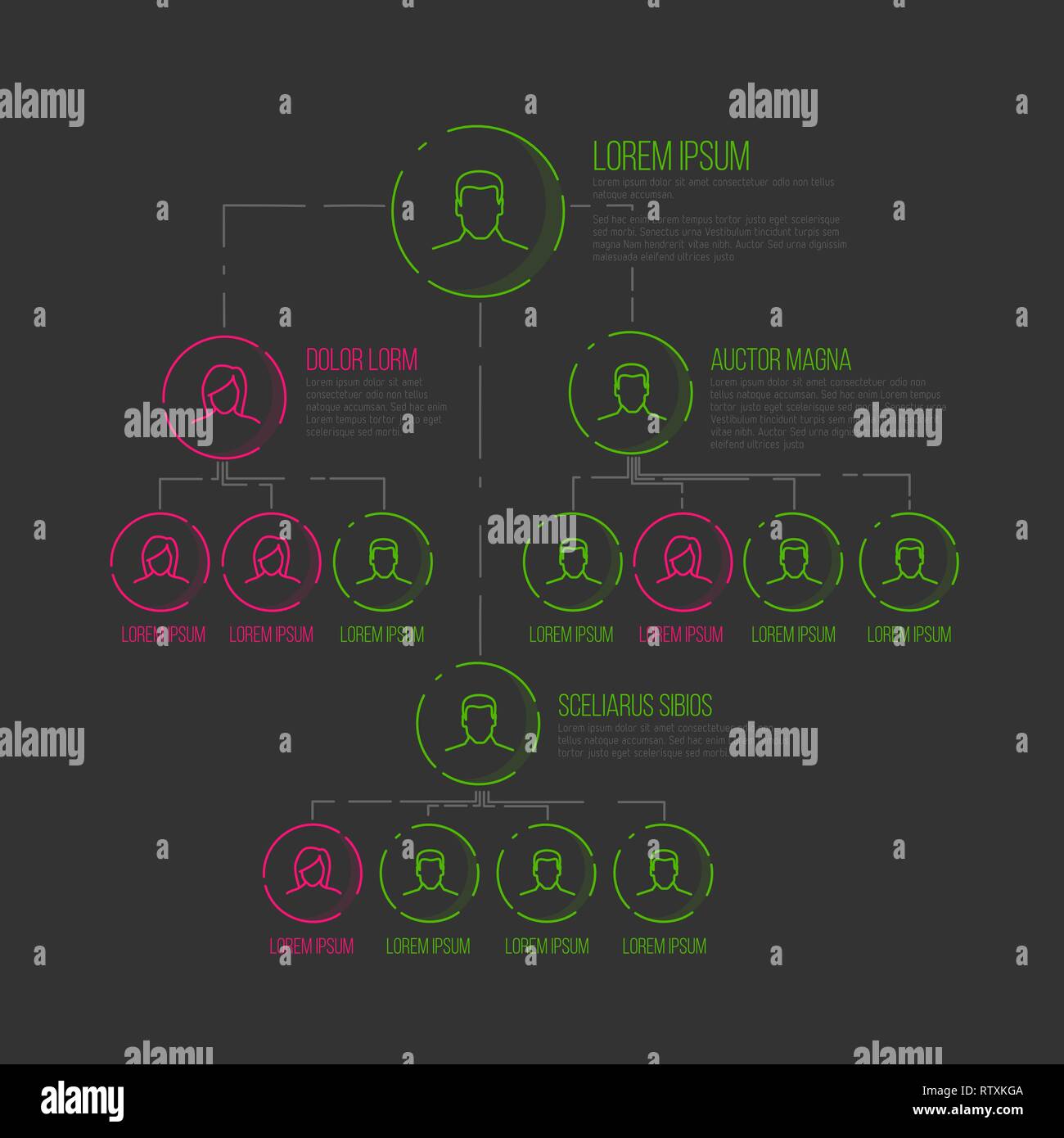 Company management hierarchy schema template with thin line profile ...