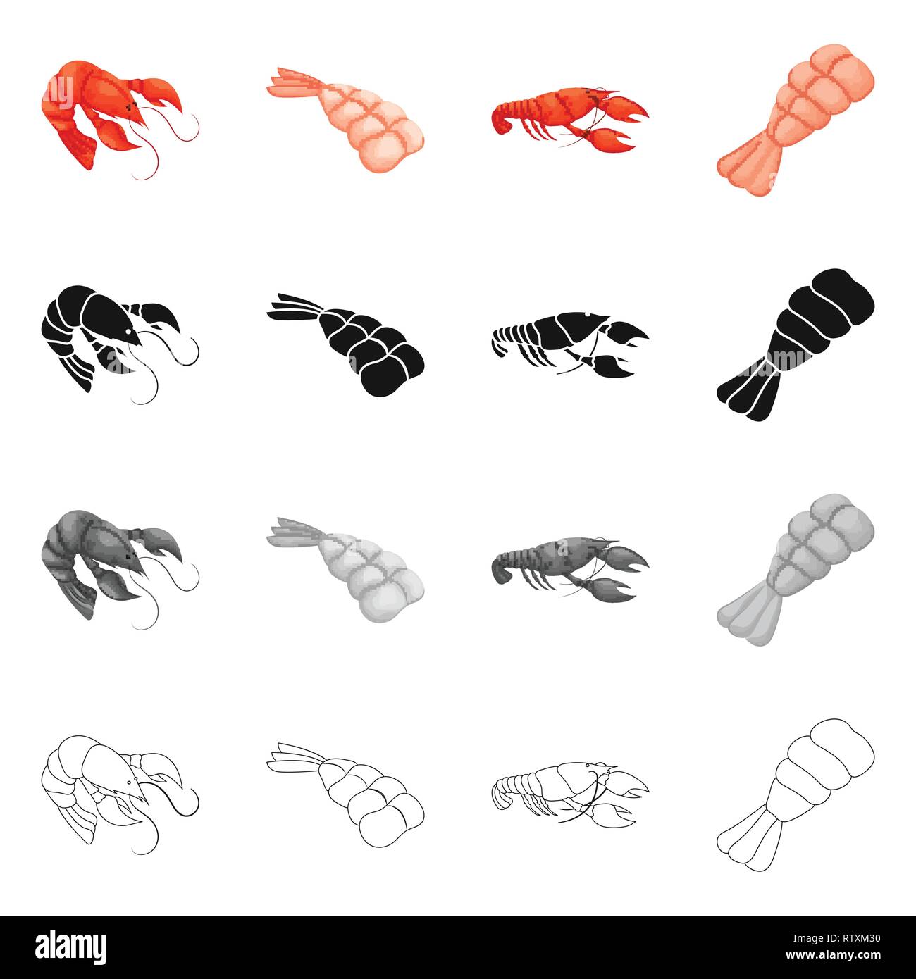 lobster,prawn,red,creature,raw,boiled,cooked,fresh,luxury,underwater ...