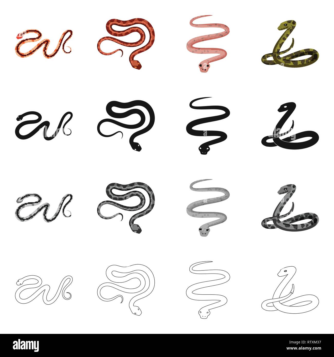 snake,viper,tail,python,spiral,forest,animal,brazil,seamless,tropical ...