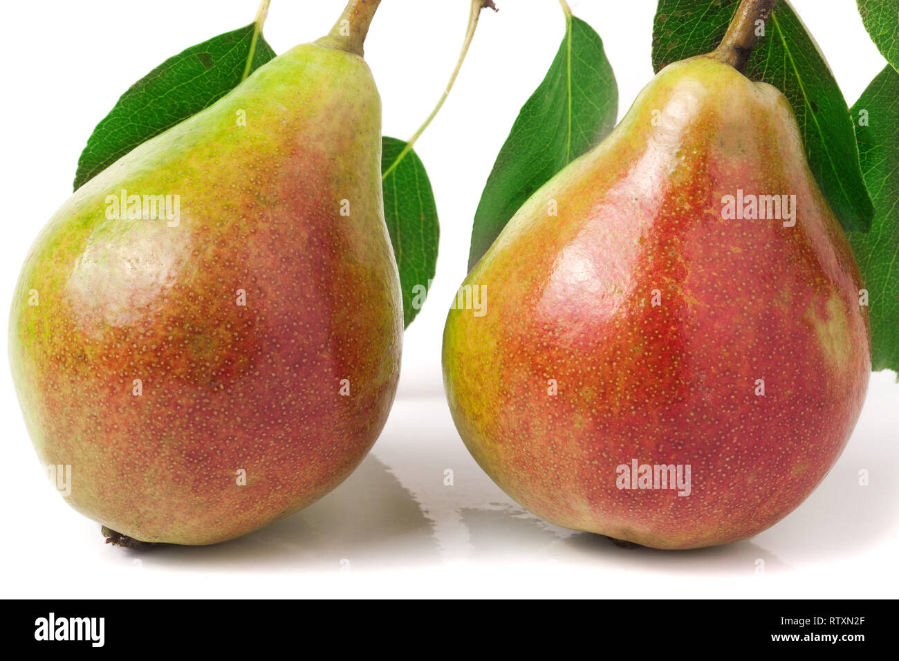 Two red pears with leaf isolated on white background Stock Photo - Alamy