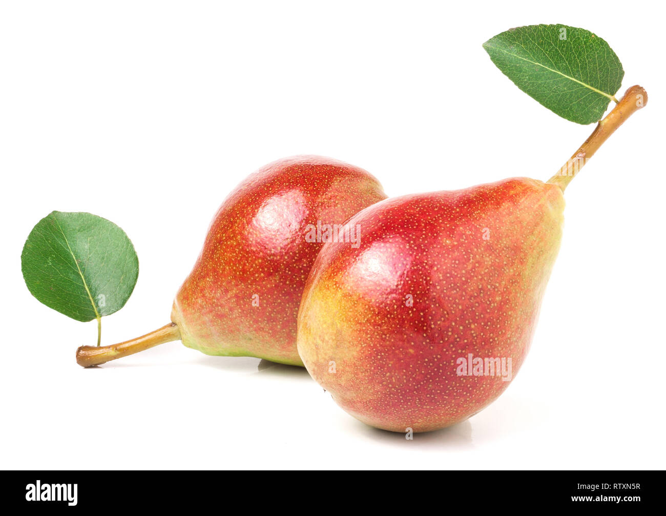 Two red pears with leaf isolated on white background Stock Photo - Alamy