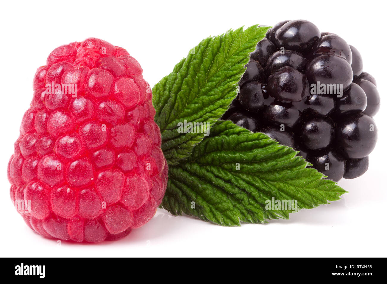 raspberries and blackberries with leaf isolated on white background ...