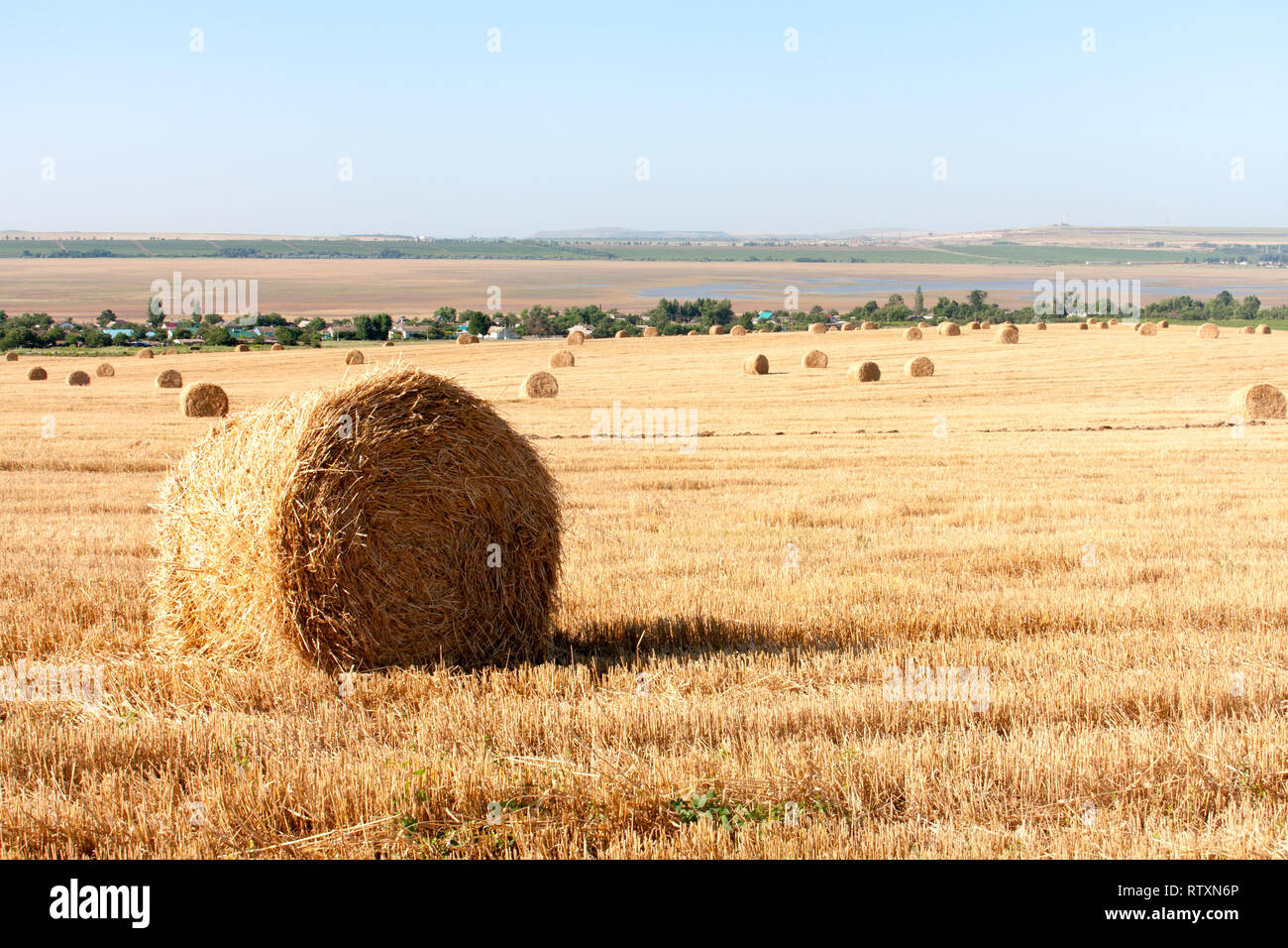Summer Field with Hay Bales as background Stock Photo - Alamy