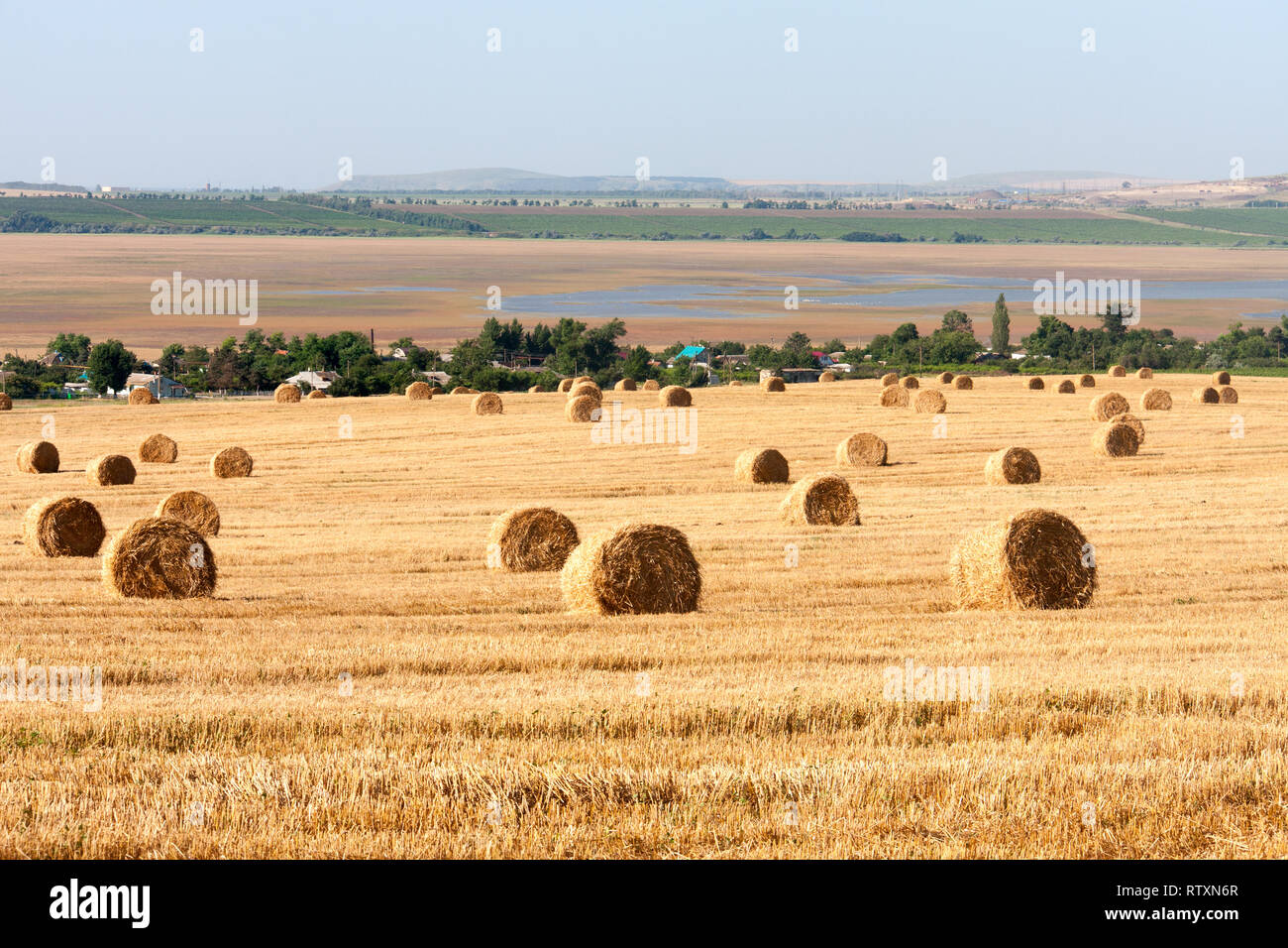 Summer Field with Hay Bales as background Stock Photo - Alamy