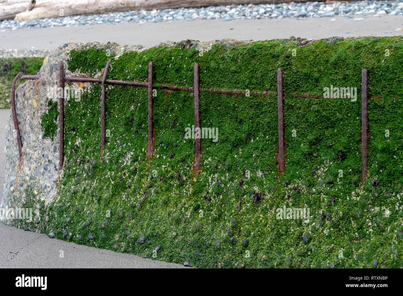 Broken seawall hi-res stock photography and images - Alamy