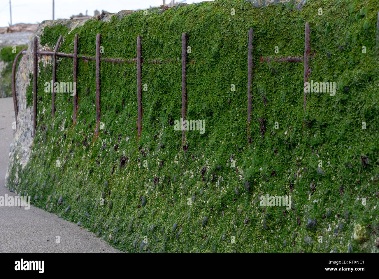 Broken seawall hi-res stock photography and images - Alamy