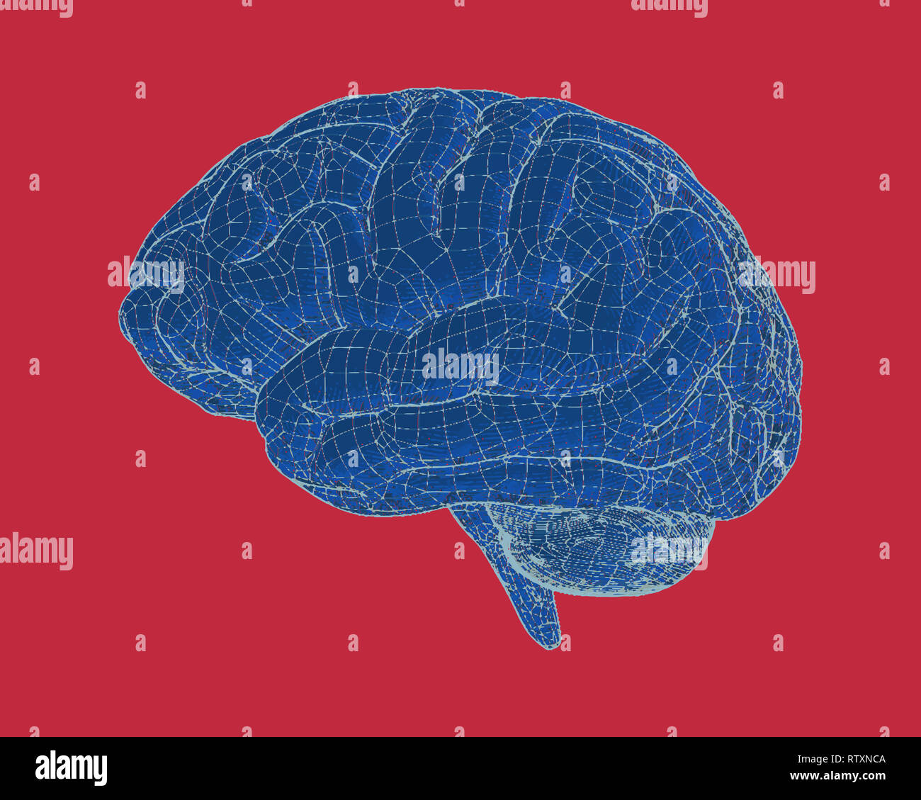 Blue brain side view and wireframe with drawing style illustration on ...