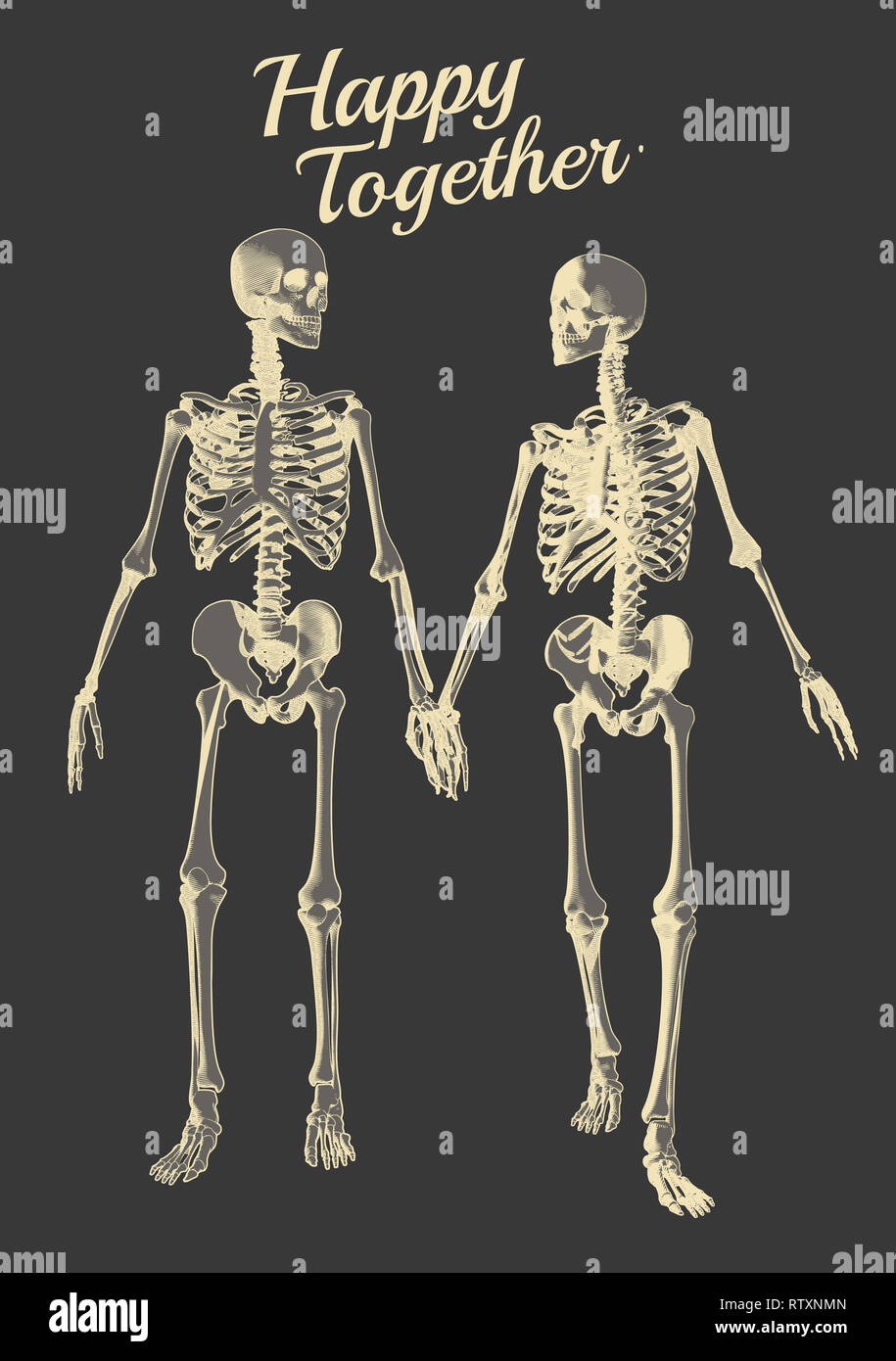 Skeletons Holding Hands
