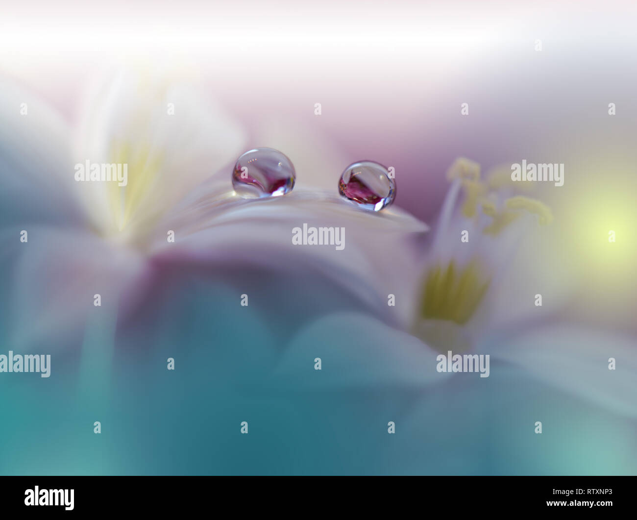 Modern green wallpaper hi-res stock photography and images - Alamy