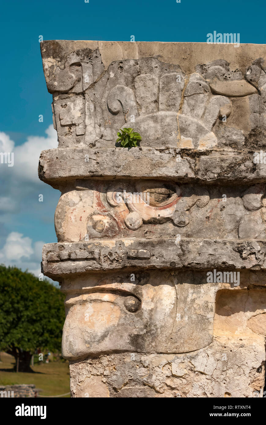 Mayan eagle hi-res stock photography and images - Alamy