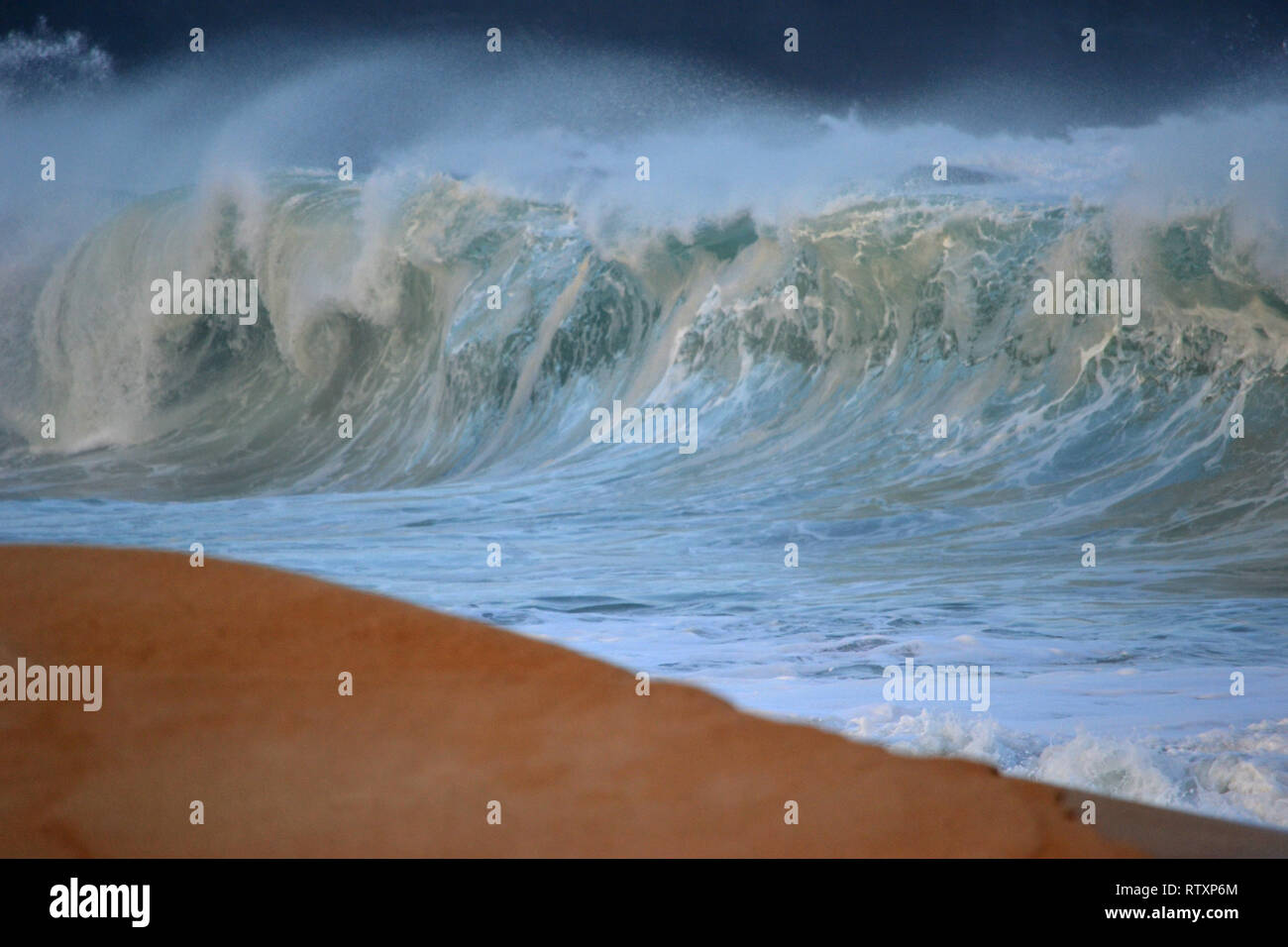 Giant swell waves crash in the shore in the winter, Waimea Bay, North ...
