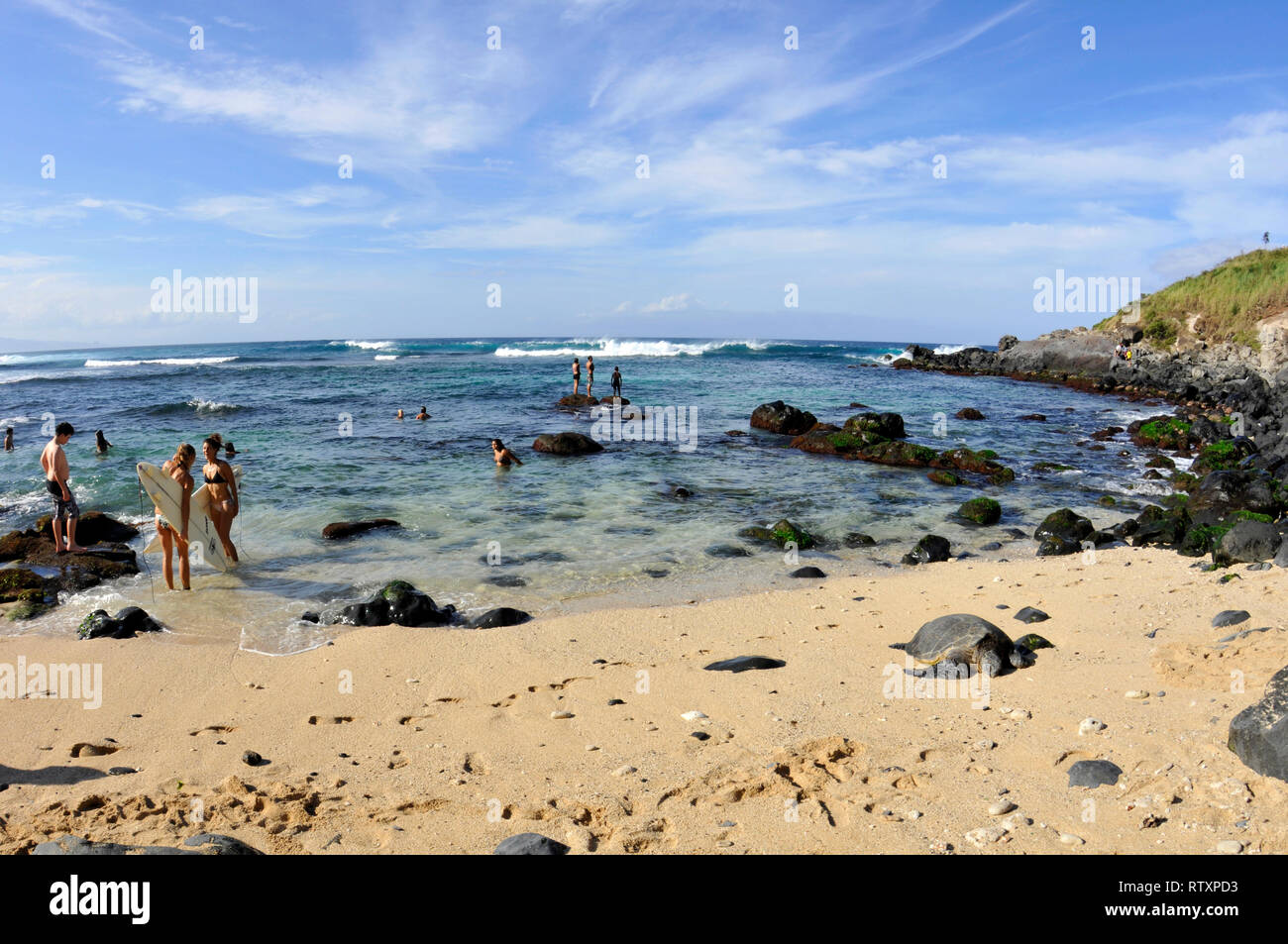 Human beachgoers hi-res stock photography and images - Alamy
