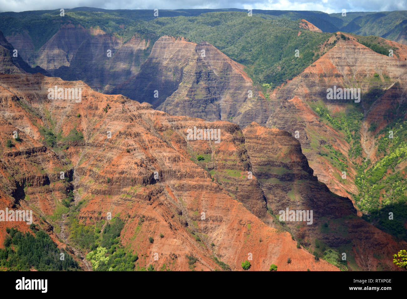 Waimea Canyon The Grand Canyon Of The Pacific Viewed From The Main
