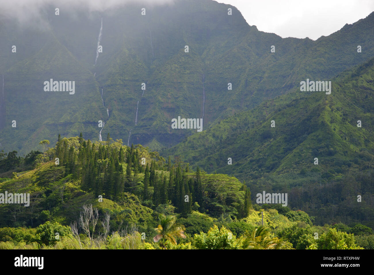 Hanalei river kauai hi-res stock photography and images - Alamy