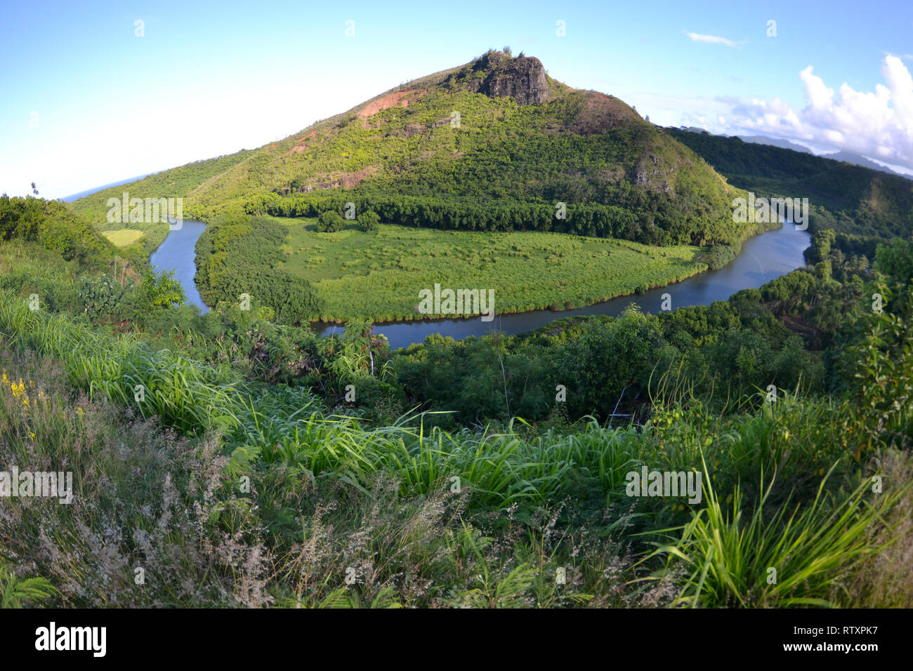 Riverside treeline hi-res stock photography and images - Alamy