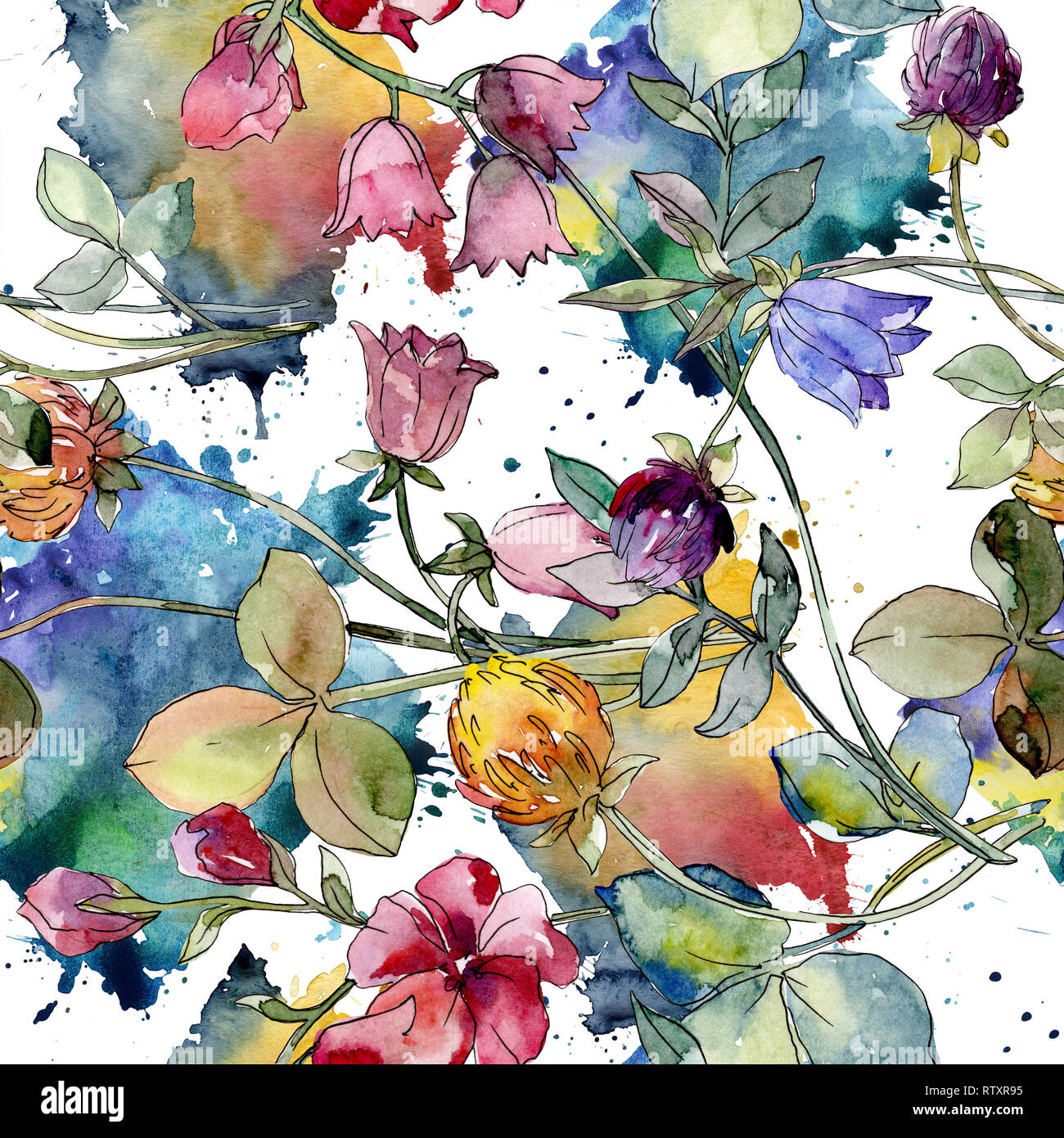 Colorful Wildflower Drawings